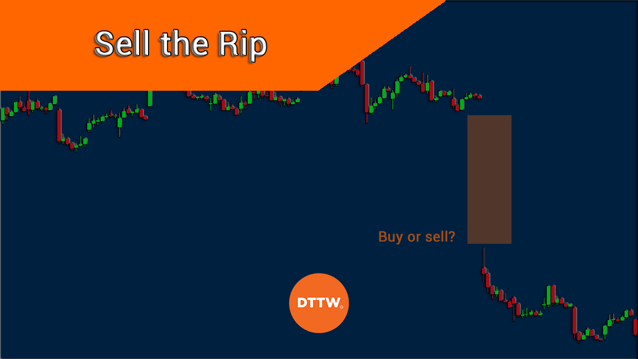 Sell the Rip: Definition, Strategies and Risks Involved | Real Trading