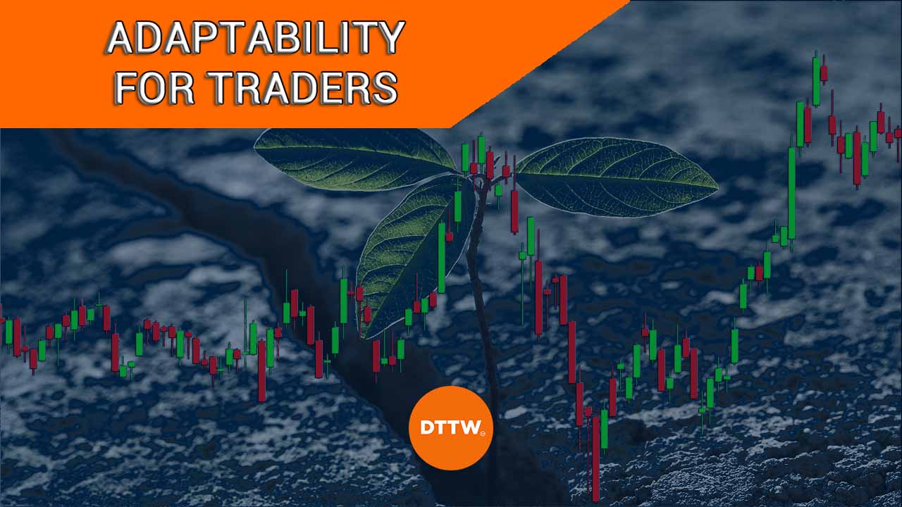 Trader’s Superpower: Adaptability. Act fast, Maximize Gains!